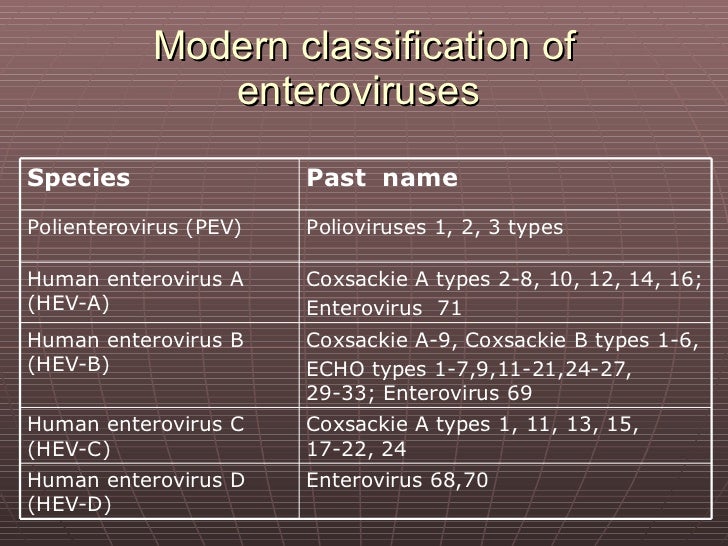 Bohomolets Microbiology Lecture #13