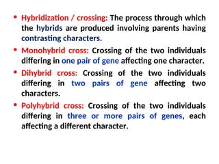 Lecture 13- Terminologies gene, allele, locus, homozygous, heterozygous ...