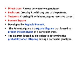 Lecture 13- Terminologies gene, allele, locus, homozygous, heterozygous ...
