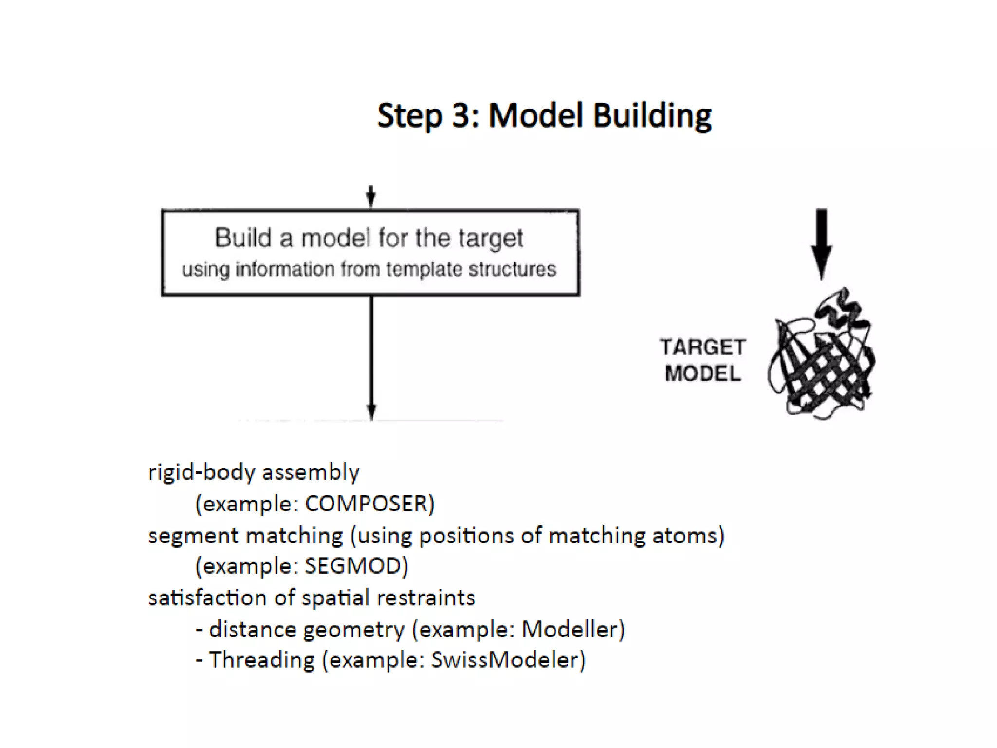 Lecture 13 – comparative modeling | PDF