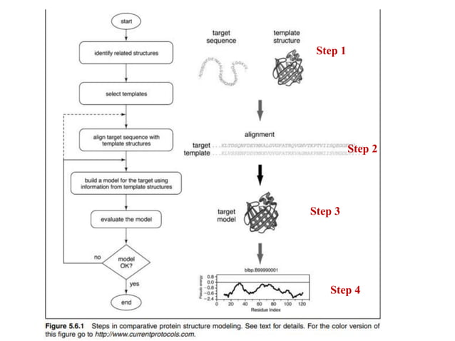 Lecture 13 Comparative Modeling Pdf