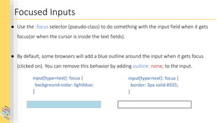 Lecture 13 CSS Styling form Elements.pdf