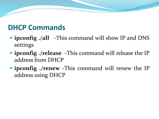 Lecture 13 DNS_DHCP.pptx