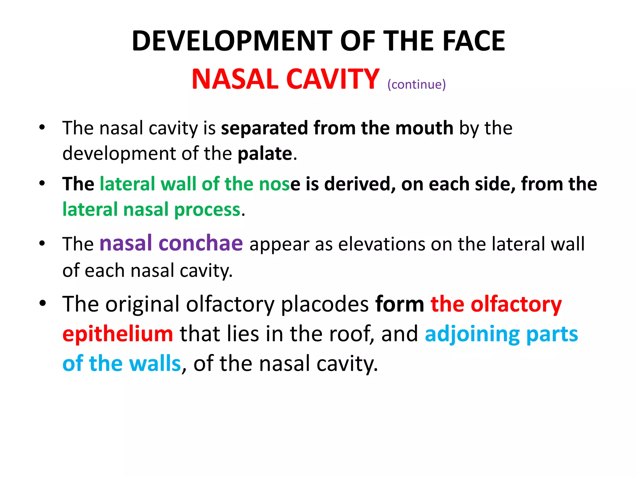 Lecture 13 face, nose palate 22042010 pdf | PDF