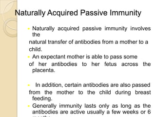 Lecture13 Immunity | PPT