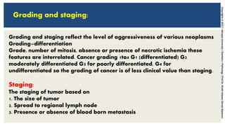 Lecture 13 neoplasia | PPTX