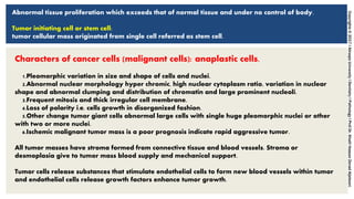 Lecture 13 neoplasia | PPTX | Cancer | Diseases and Conditions
