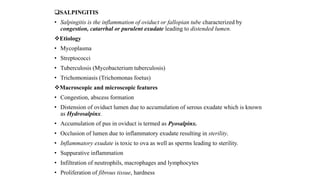 Pathology of Female Reproductive System | PDF