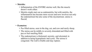 Pathology of Female Reproductive System | PDF
