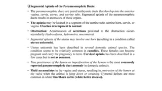 Pathology of Female Reproductive System | PDF