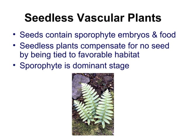 Pattern of reproduction in plant | PPT