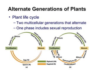 Pattern of reproduction in plant | PPT | Biological Sciences | Science