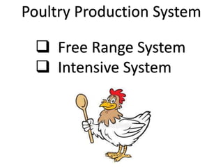Poultry production system.pptx