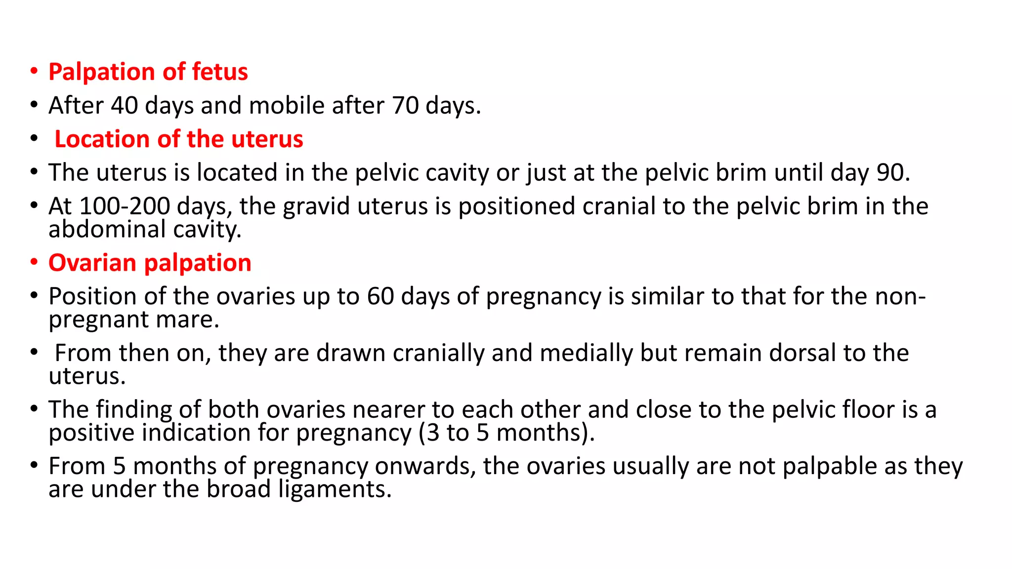 Lecture 13 Pregnancy diagnosis in farm and pet animals | PDF