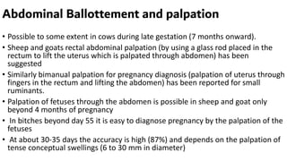 Lecture 13 Pregnancy diagnosis in farm and pet animals | PDF
