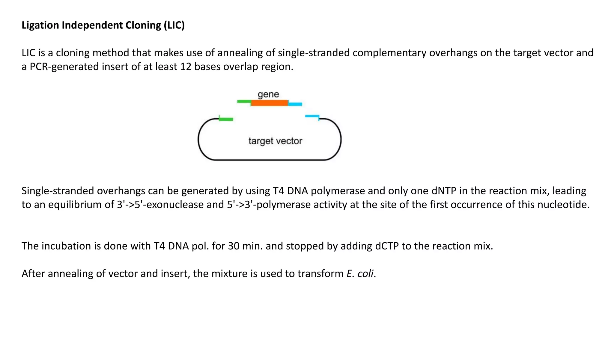 Strategies for cloning PCR products: TA cloning, Topo cloning.pdf