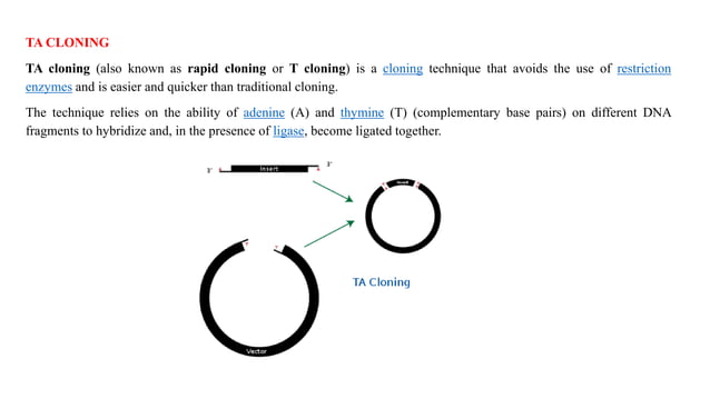 Strategies for cloning PCR products: TA cloning, Topo cloning.pdf | Chemistry | Science