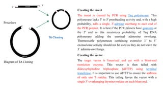 Strategies for cloning PCR products: TA cloning, Topo cloning.pdf