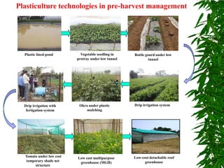 Implementation of Protected Cultivation Technologies | PDF