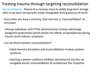 Introduction to neuroscience presentation on memory and learning | PPT