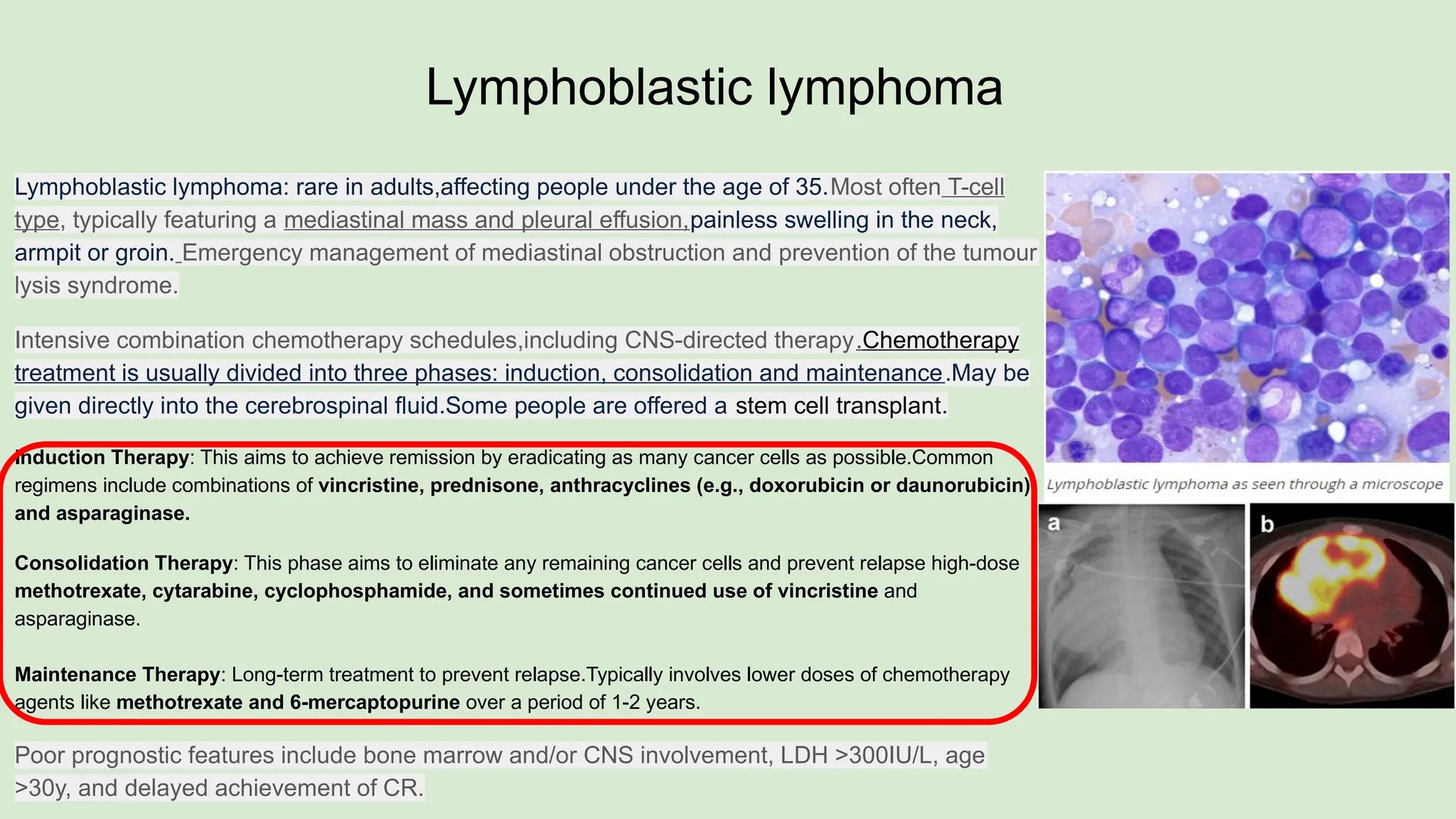 Lecture 14.Lymphomas.pptxxxxxxxxxxxxxxxxx | PPT