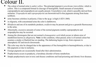 Lecture 14.Metabolism of kidney.ppt of kidney | PPT