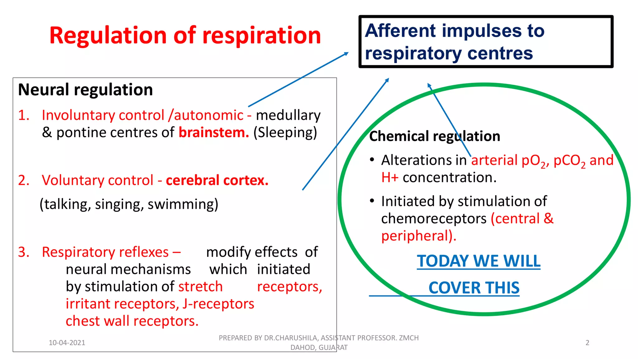 Chemical regulation of respiration | PDF