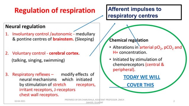 Chemical regulation of respiration | PDF | Lung and Respiratory Health ...
