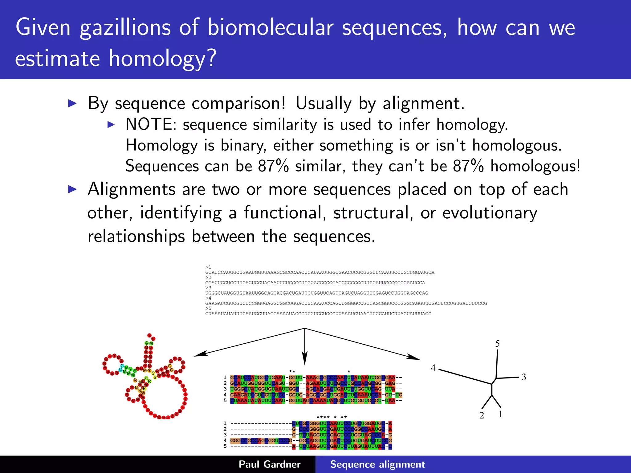 Biol335 Sequence Alignment Pdf