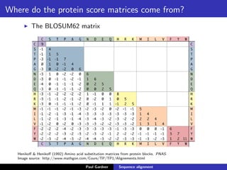 BIOL335: Sequence alignment | PDF