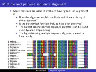 BIOL335: Sequence alignment | PPT