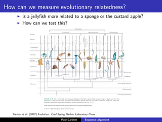 Biol335 Sequence Alignment Pdf