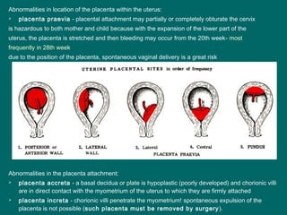Lecture14 teratology-110920073413-phpapp01 | PPT