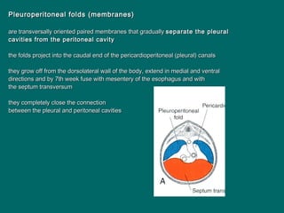 Lecture14 teratology-110920073413-phpapp01 | PPT
