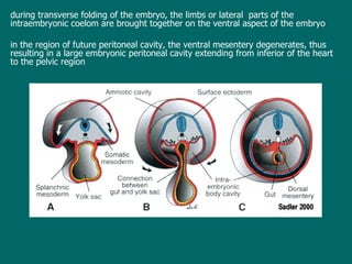 Lecture14 teratology | PPT