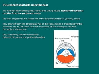 Lecture14 teratology | PPT