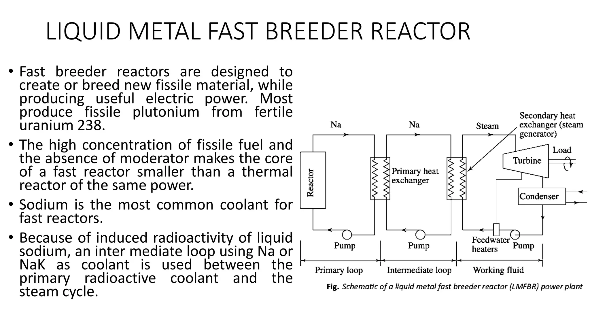 Lecture 14,15 types of reactor | PPTX | Chemistry | Science