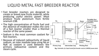 Lecture 14,15 types of reactor | PPTX | Chemistry | Science