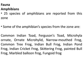 Lecture 14 Biodiveristy values of Biogeographic zone of India 2.pptx