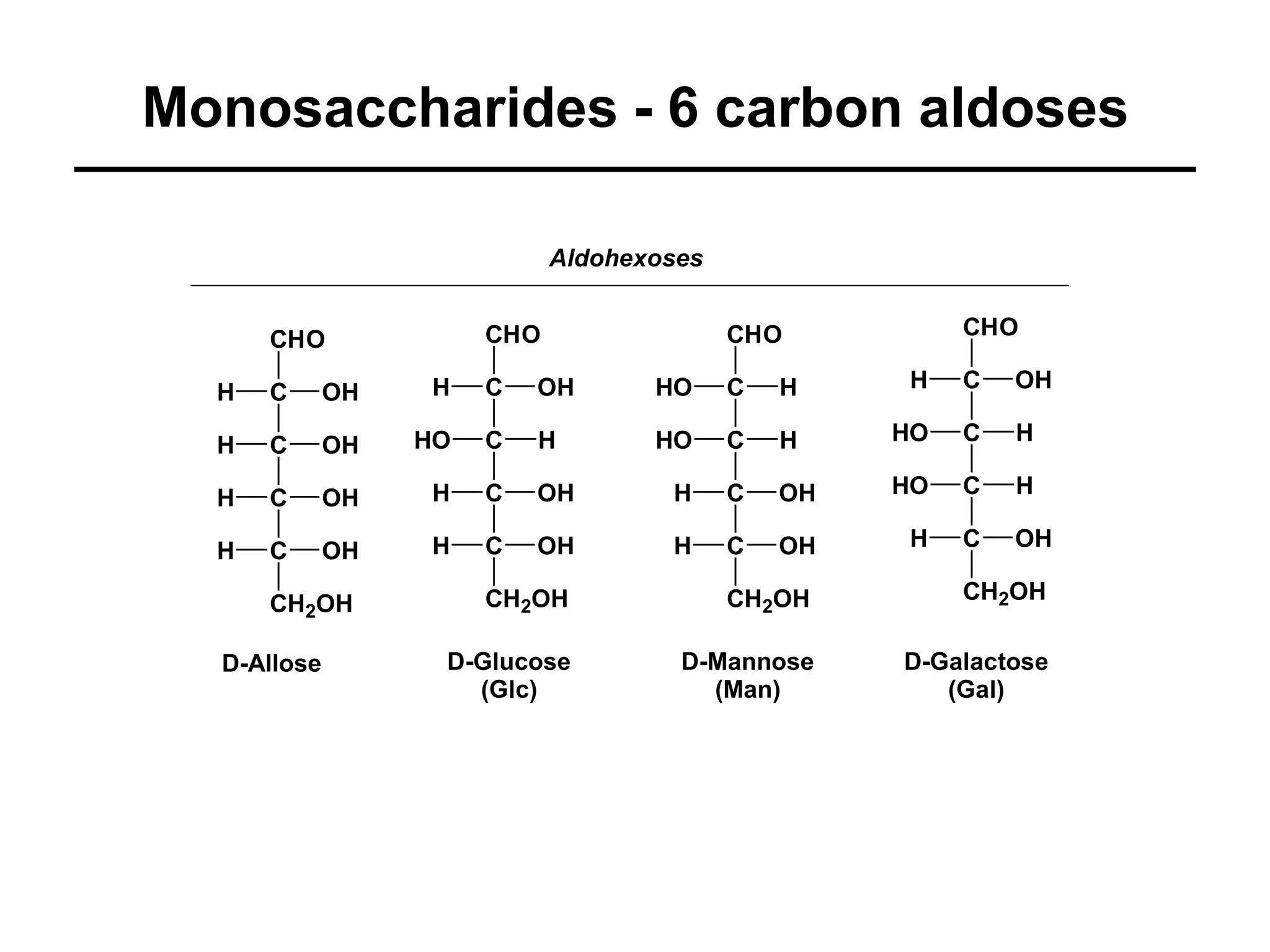 Lecture 14 carbohydrates complete to be taught | PPT