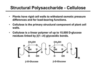 Lecture 14 carbohydrates complete to be taught | PPT