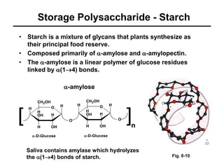 Lecture 14 carbohydrates complete to be taught | PPT