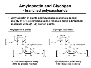 Lecture 14 carbohydrates complete to be taught | PPT