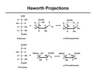Lecture 14 carbohydrates complete to be taught | PPT
