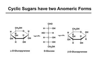 Lecture 14 carbohydrates complete to be taught | PPT