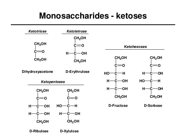 Lecture 14 carbohydrates complete to be taught