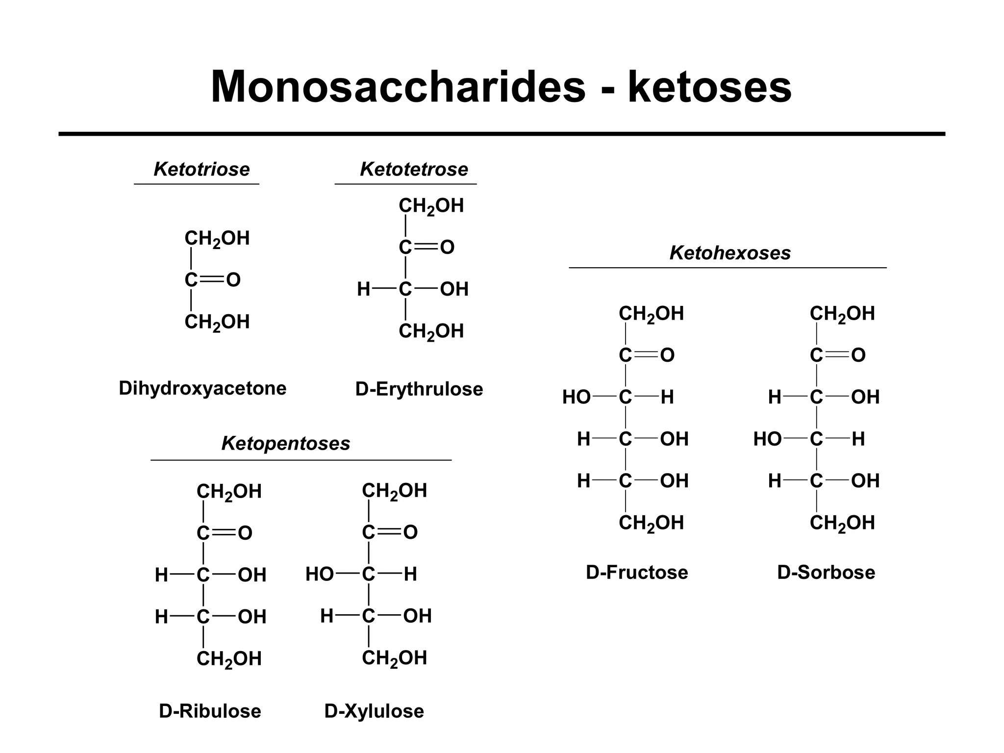 Lecture 14 carbohydrates complete to be taught | PPT