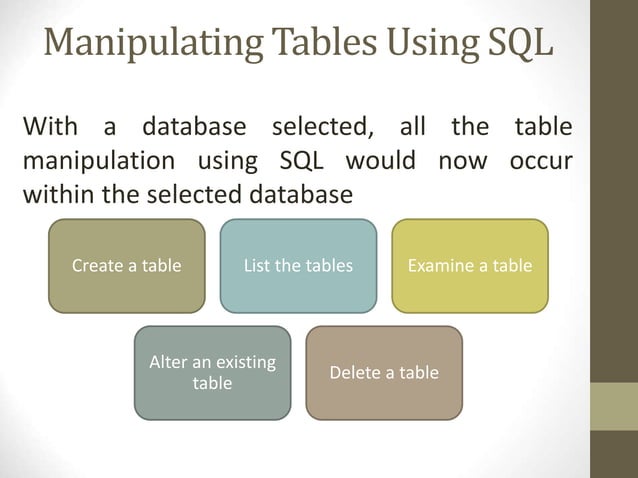 Lecture 14 Database.ppt