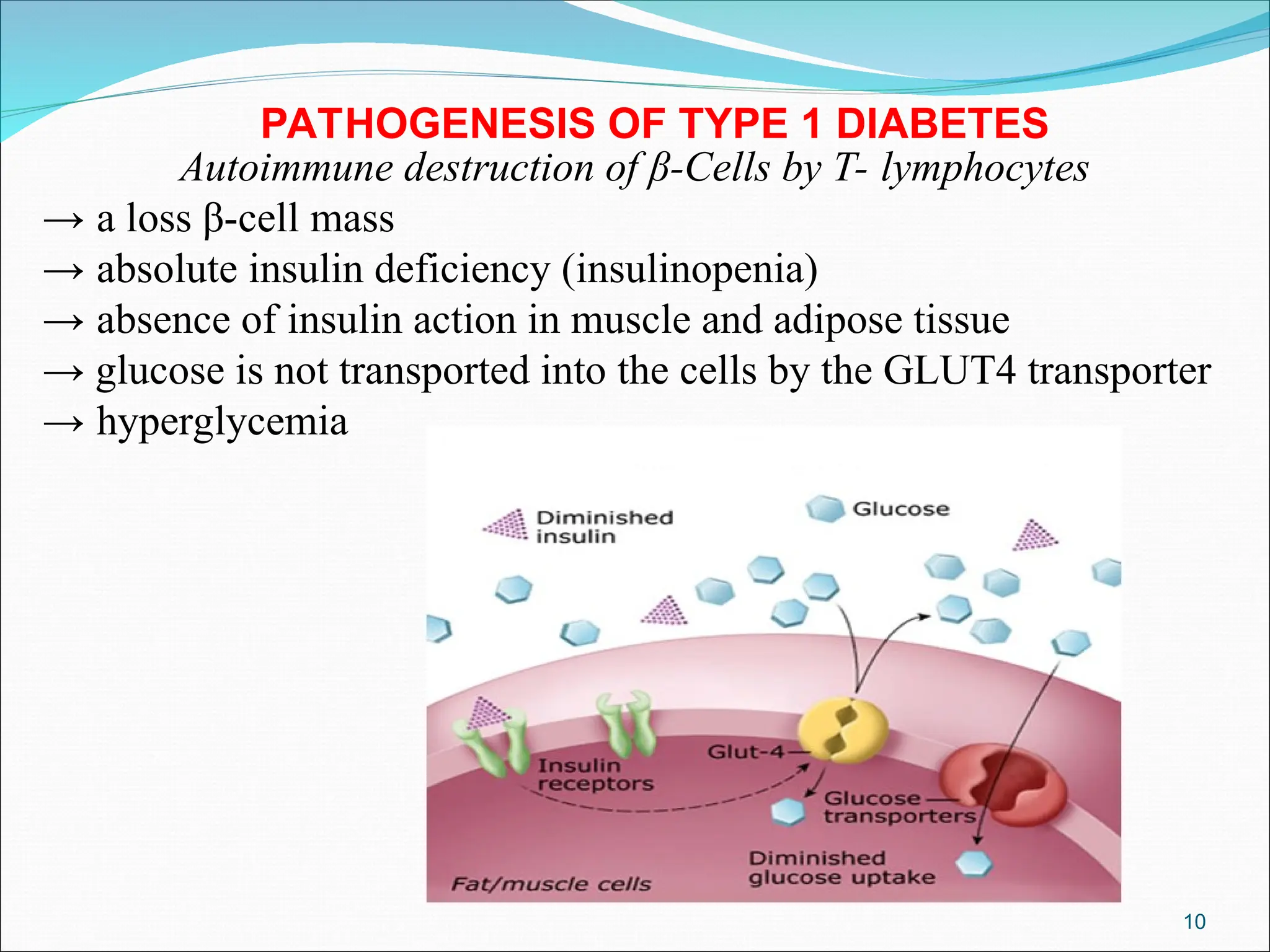 Lecture #1 4 ENDO 20-21 - копия.ppt.... | PPT