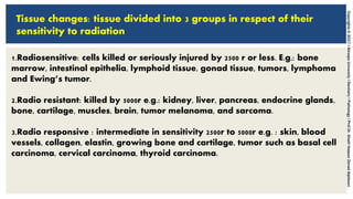 Lecture 14 ionizing radiation | PPT